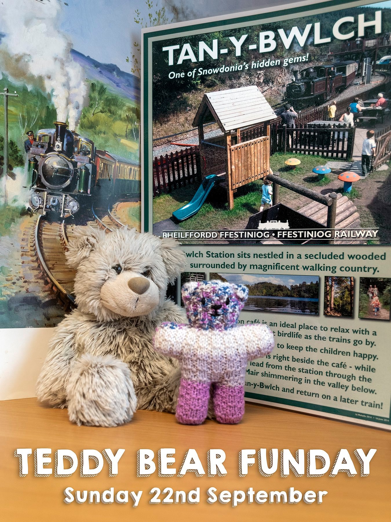 Teddy Bear Fun Day – Inside Motion